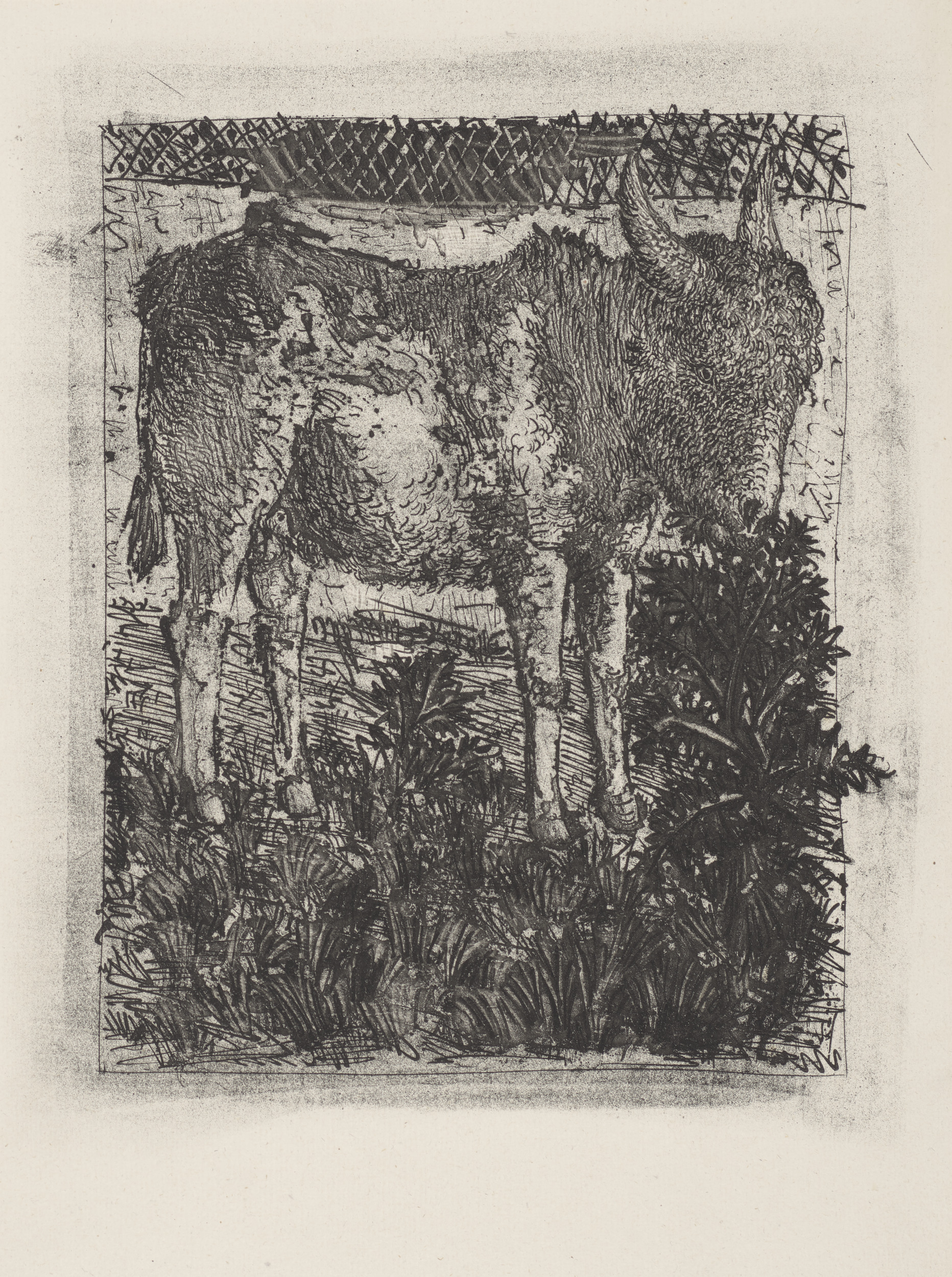 L'Âne (The Donkey) from the portfolio Illustrations for Histoire ...