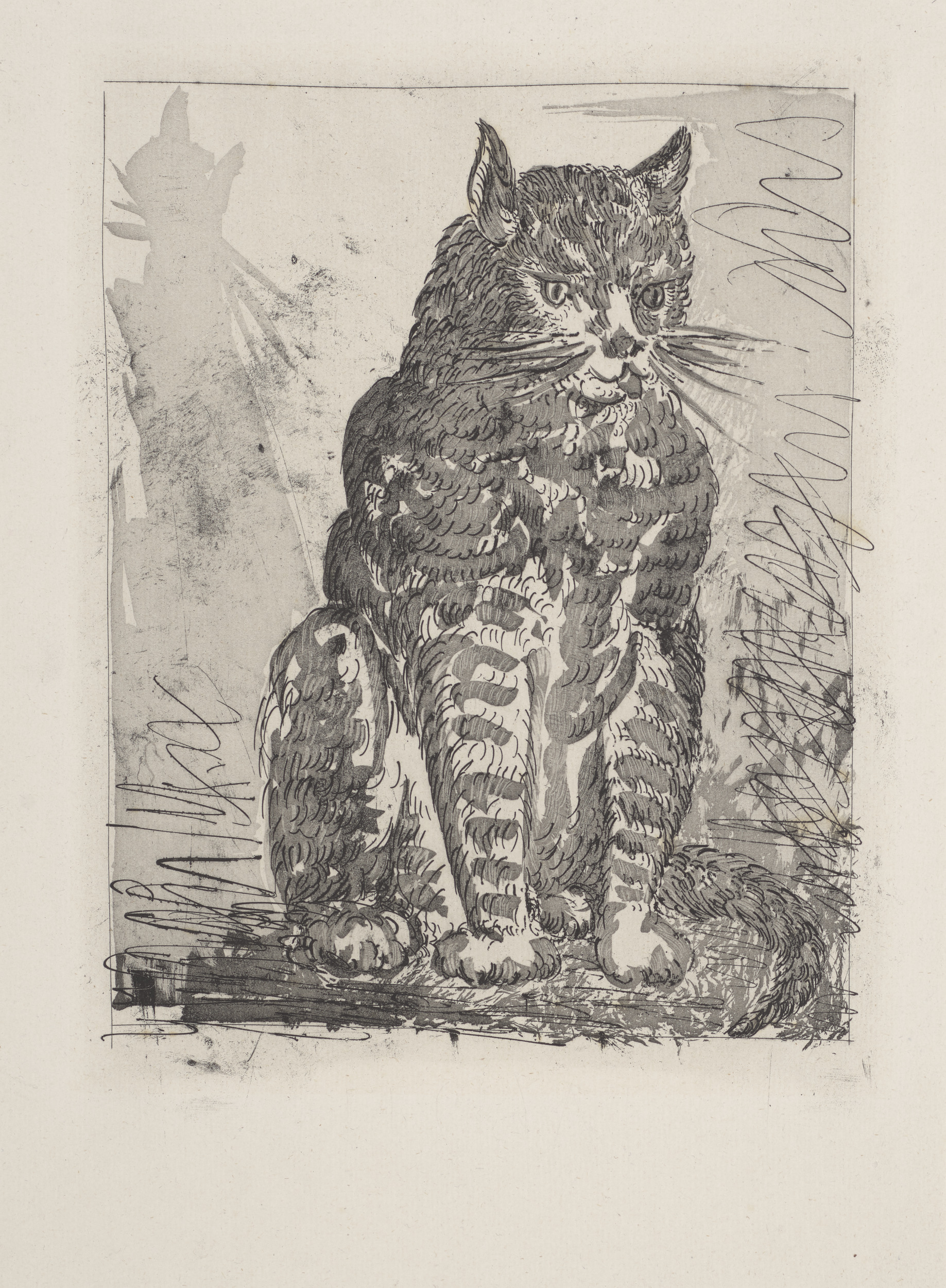 Le Chat (The Cat) from the portfolio Illustrations for Histoire ...