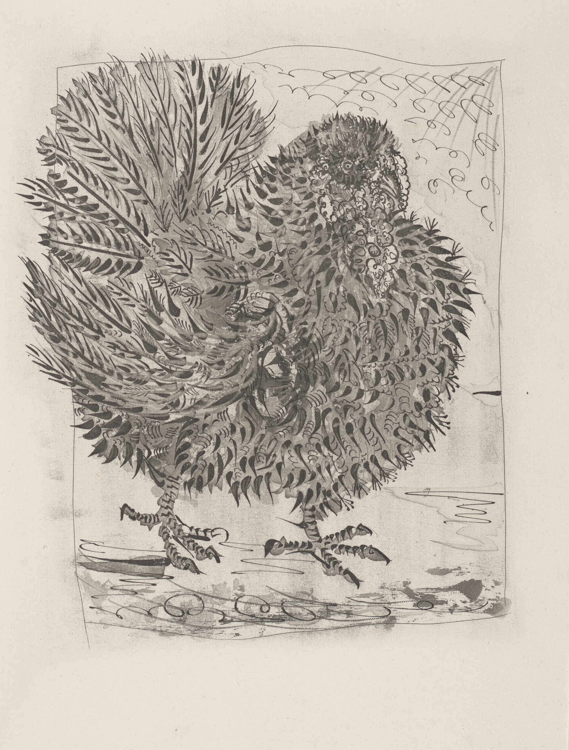 Le Dindon (The Turkey) from the portfolio Illustrations for Histoire ...