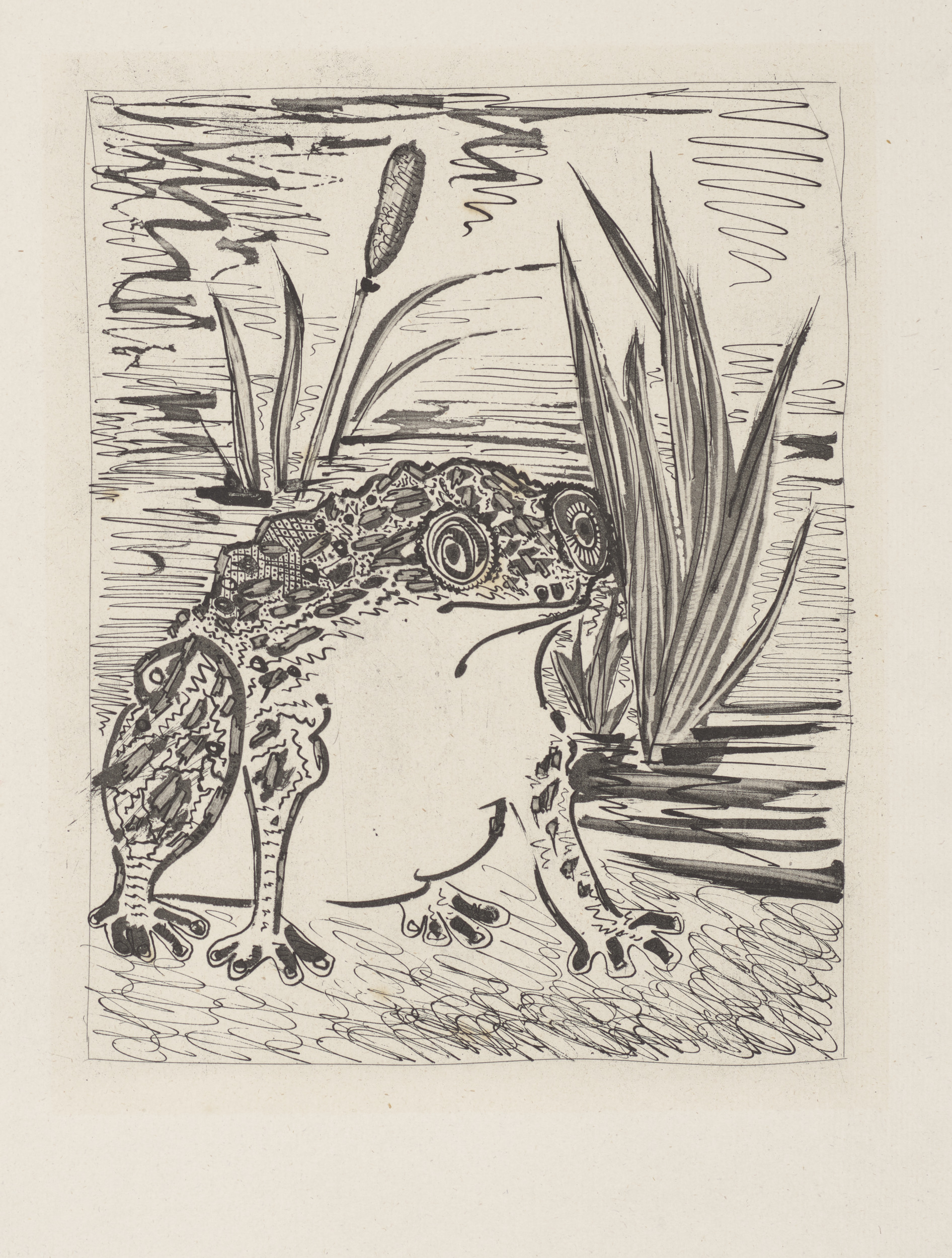 Le Crapaud (The Toad) from the portfolio Illustrations for Histoire ...