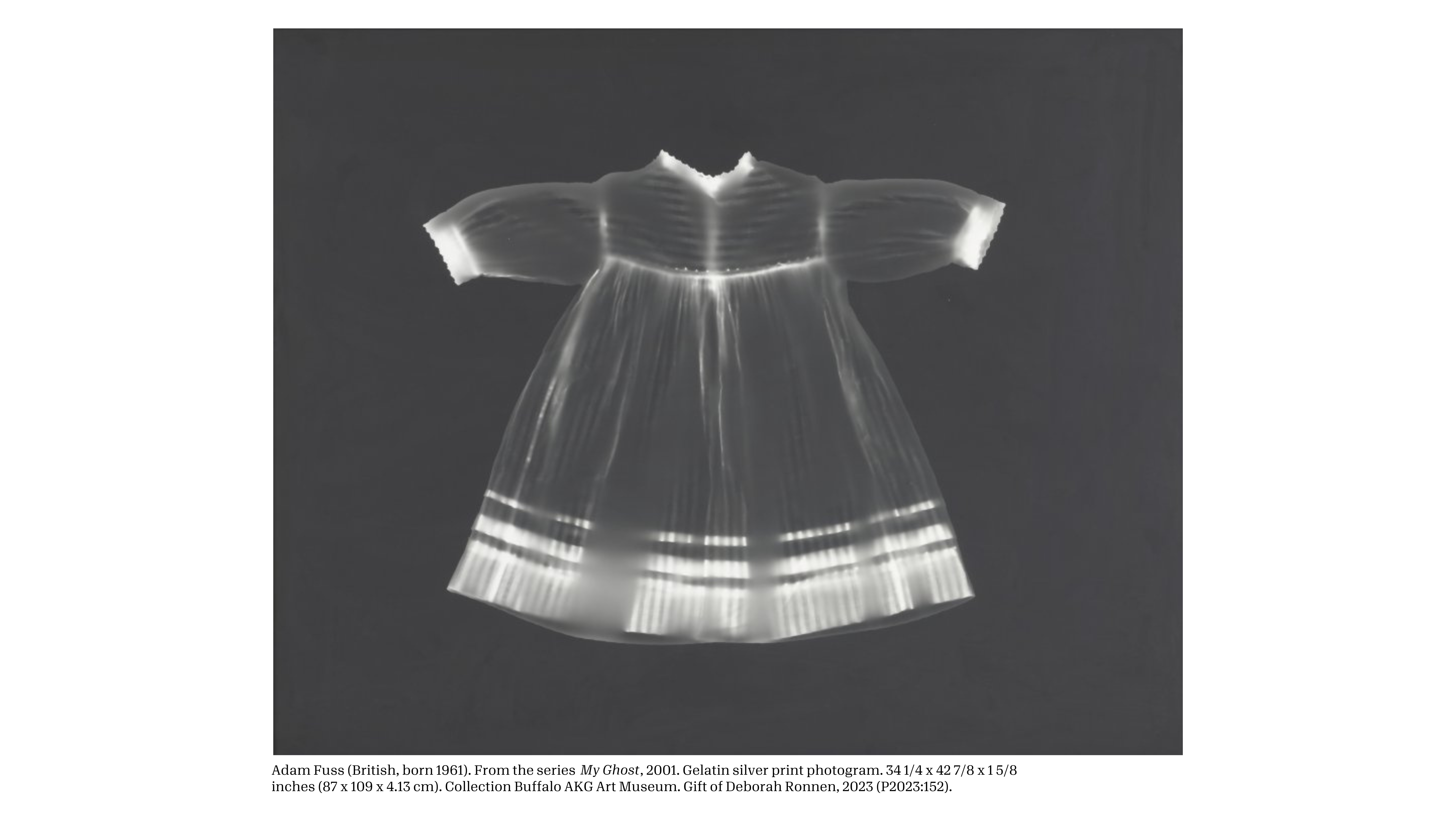 Adam Fuss: Visual Resonance | Buffalo AKG Art Museum